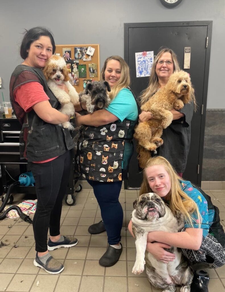Dog grooming – Summit Pet Care